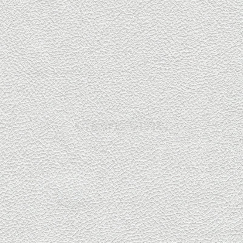Rough White Paper Texture