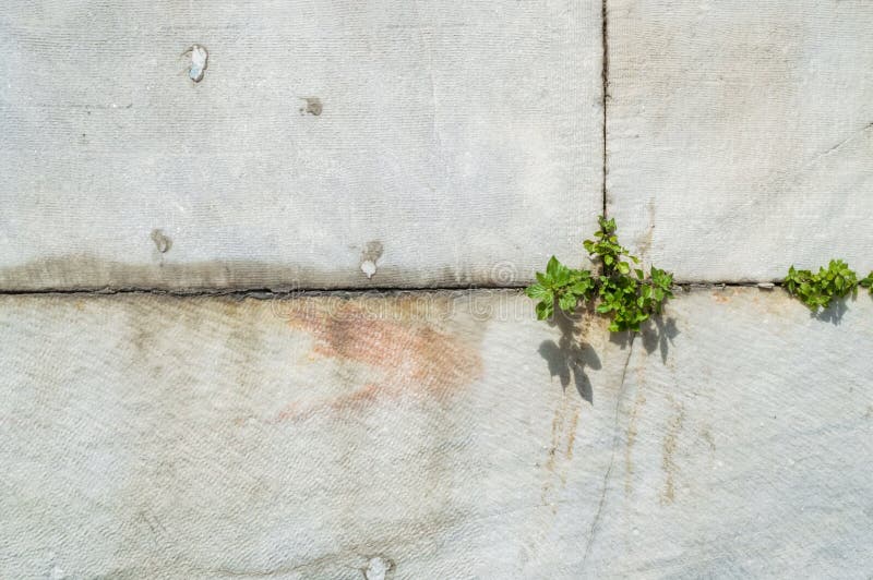White Dirty Marble Stone Wall Patterned Texture Background Stock Image ...