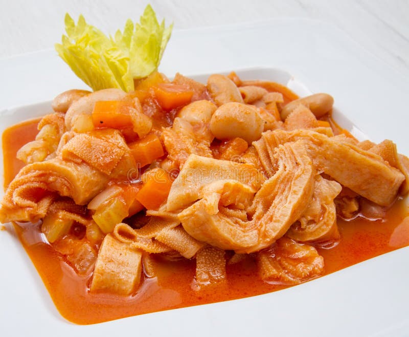 White dish with trippa stock image. Image of meat, tripe - 103891943