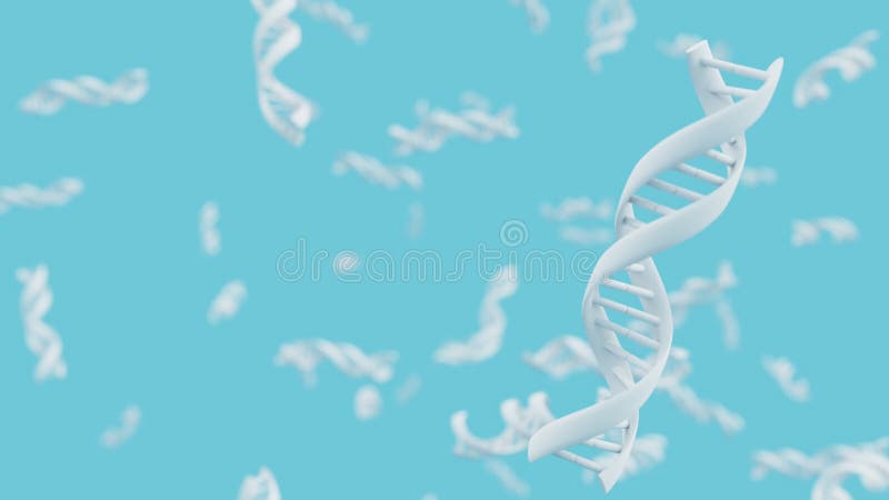 White DNA Double Helix Strand Rotates on Blue Background Loop Animation ...