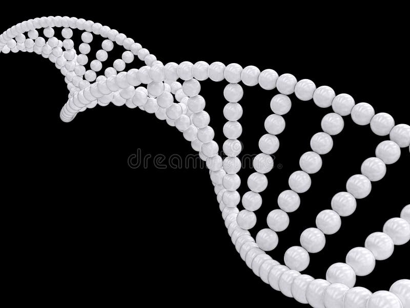 DNA Molecule on White Background Vector Image Stock Vector ...