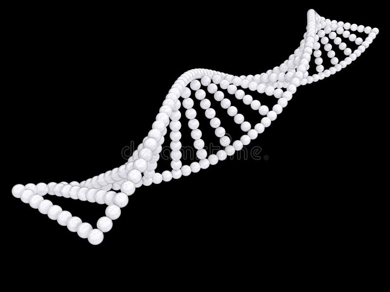 DNA Molecule on White Background Vector Image Stock Vector ...