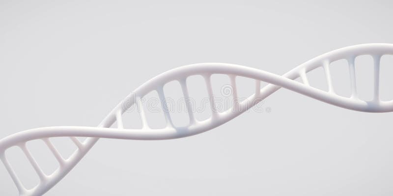 White Dna Structure Isolated on White Abstract Background 3D Render ...