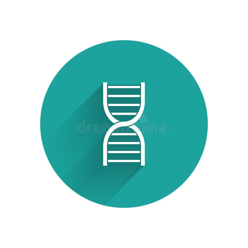 White DNA Symbol Icon Isolated with Long Shadow. Green Circle Button ...