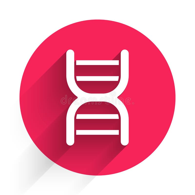 White DNA Symbol Icon Isolated with Long Shadow. Red Circle Button ...