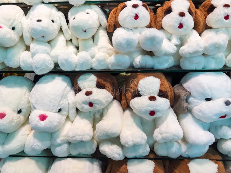 White dog dolls stock image. Image of collection, leisure - 289152363