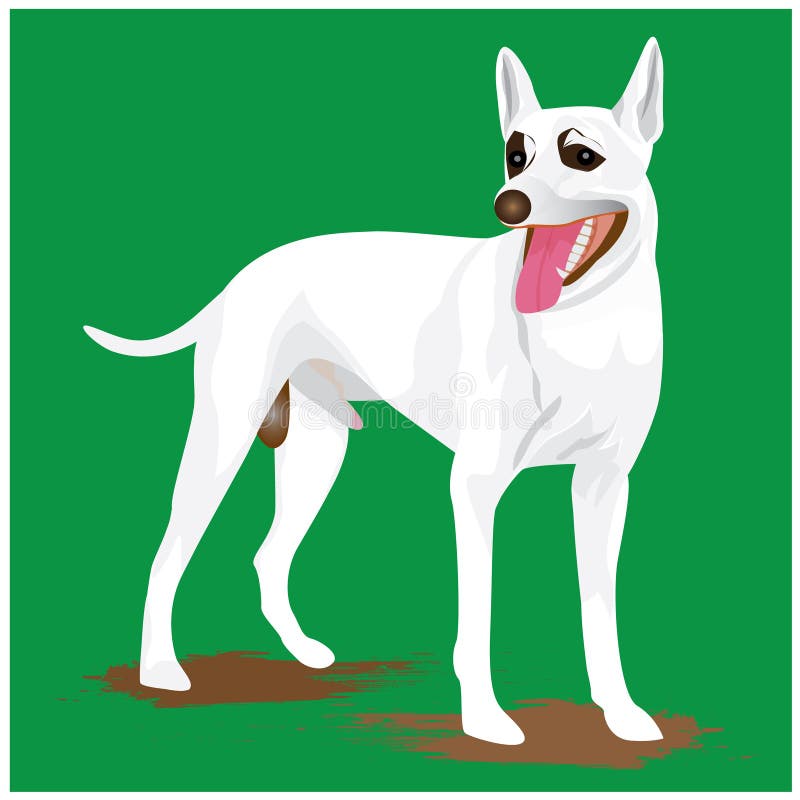 White dog stock vector. Illustration of cute, smiling - 77957562