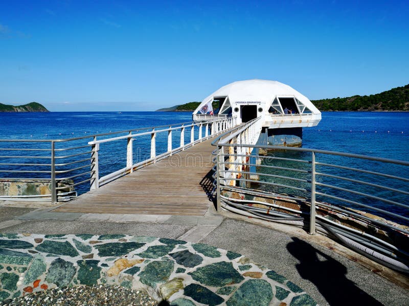 Undersea Observatory Coral World Ocean Park Saint Thomas Usvi Stock ...