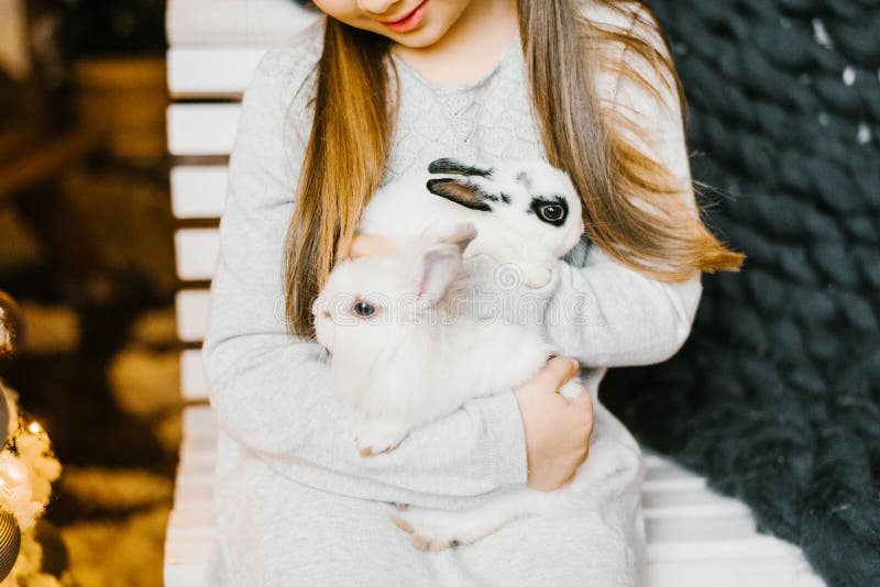 White Domestic Rabbits in the Hands of a Girl Stock Image - Image of ...