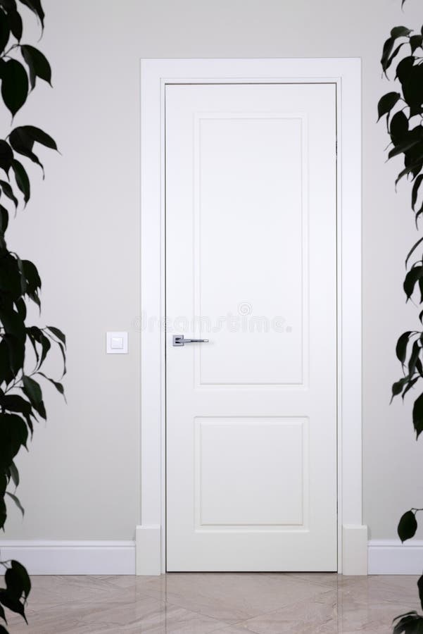 The Wall Switch is in the Bright, Contemporary Interior. Open the Door ...