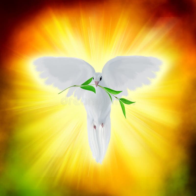 White dove stock illustration. Illustration of catholicism - 45118800