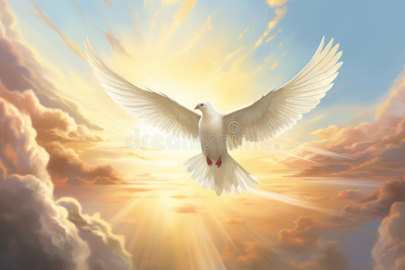 White Dove Flying in the Blue Sky with Sun Rays and Clouds. White Dove ...