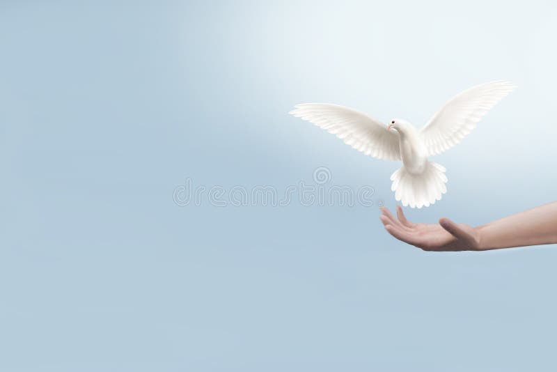 Hand Gesture Flying Bird Stock Illustrations – 96 Hand Gesture Flying ...
