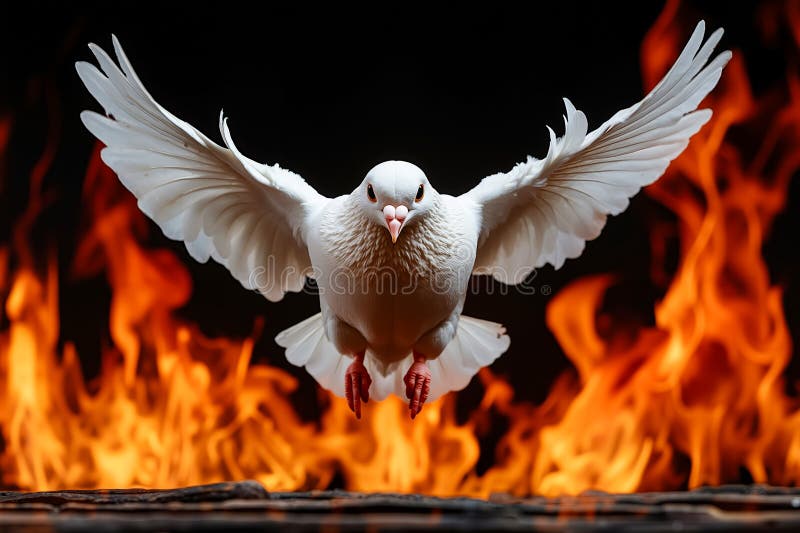 White Dove Flying Over Fire Stock Photos - Free & Royalty-Free Stock ...