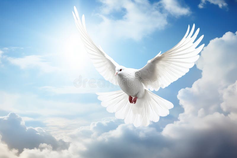 A White Dove Flying Over the Sun in a Cloudy Sky, in the Religious ...