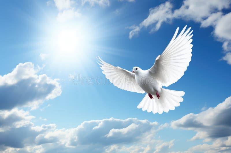 A White Dove Flying Over the Sun in a Cloudy Sky, in the Religious ...