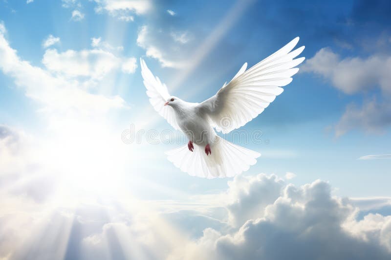 A White Dove Flying Over the Sun in a Cloudy Sky, in the Religious ...