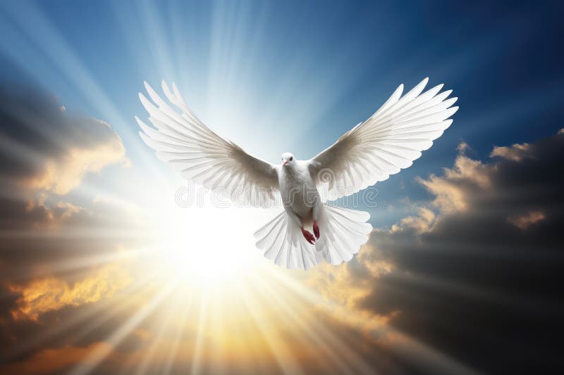 A White Dove Flying Over the Sun in a Cloudy Sky, in the Religious ...