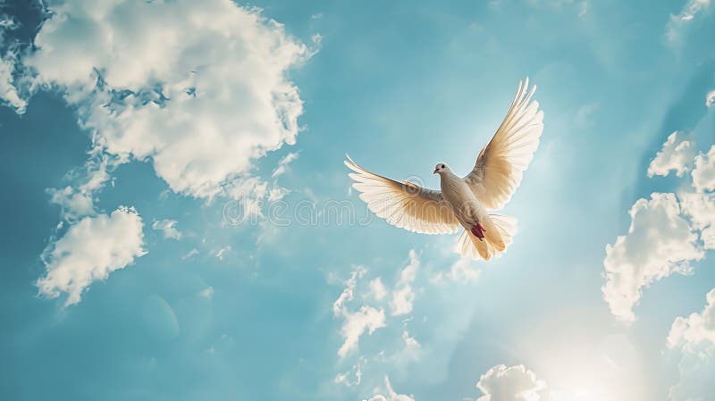 White Dove Flying in the Sky Stock Photo - Image of blue, dive: 312124210