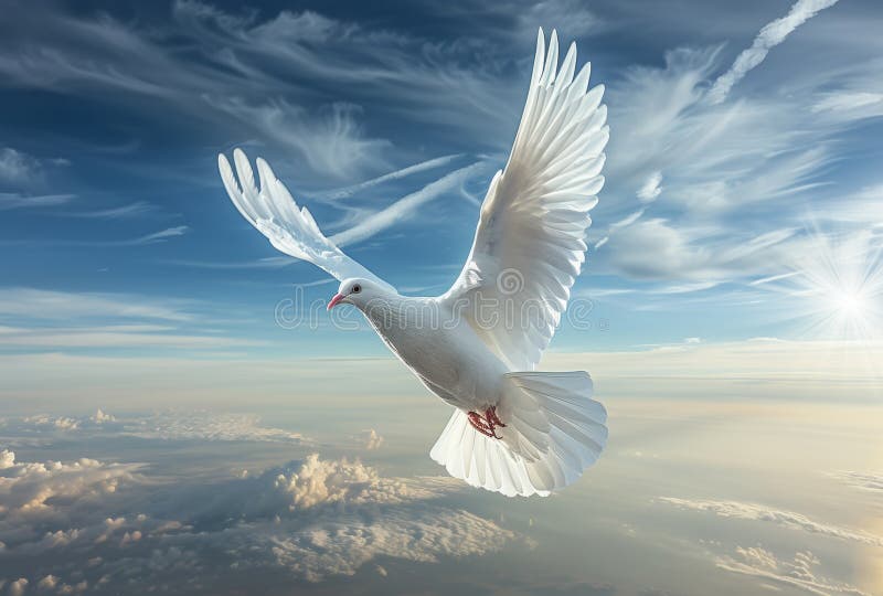 White Dove Flying in the Sun Rays among the Clouds Stock Image - Image ...
