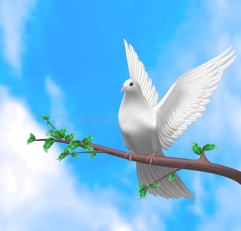 White Dove Illustration in Realistic Design Stock Illustration - Illustration of fauna, holy ...