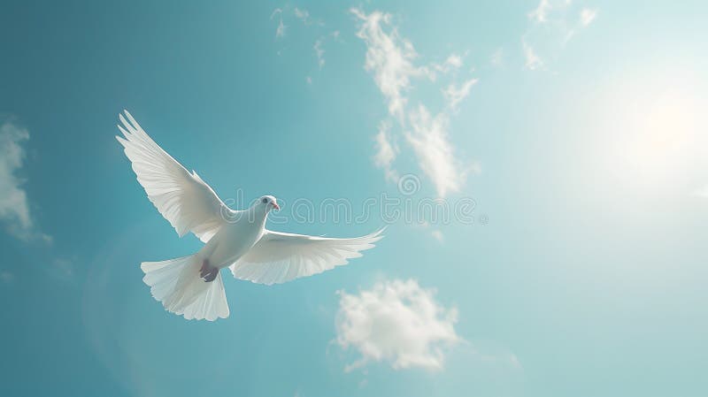 A white dove of peace stock illustration. Illustration of flight ...