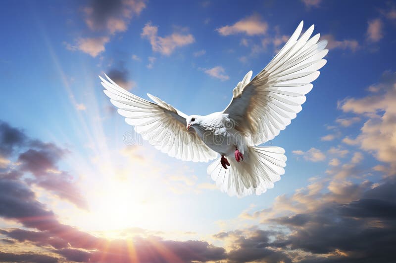 White Dove of Peace in the Rays of the Sun. Generative AI Stock Photo ...