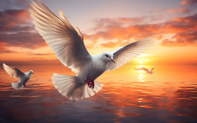 White dove on sunset stock illustration. Illustration of dream - 281178124