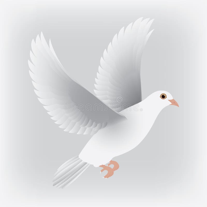 White dove vector stock vector. Illustration of purity - 32796503