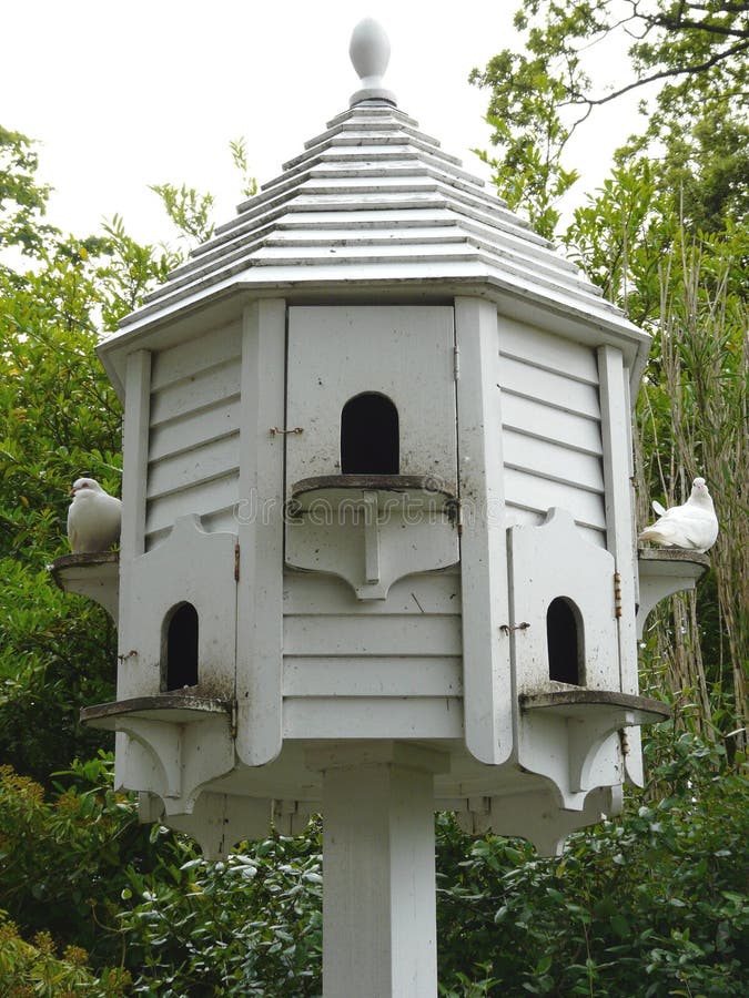 White dovecot stock image. Image of wooden, flying, rustic - 11187967