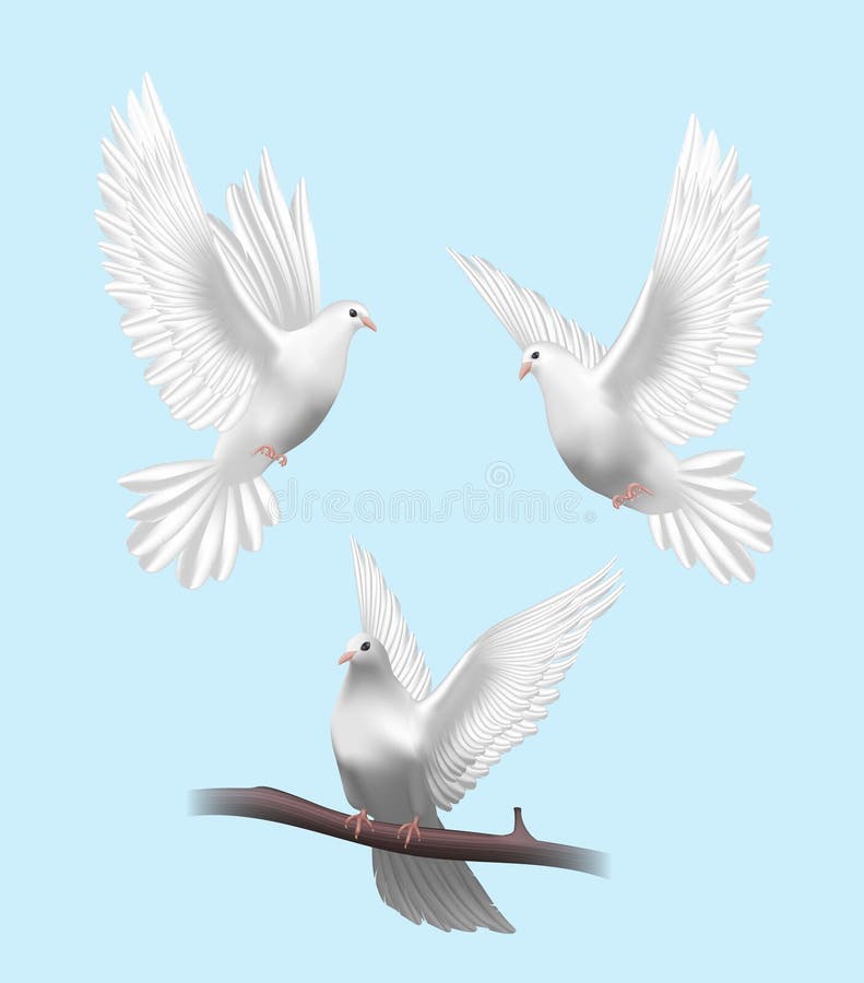 White Doves in Realistic Design Stock Illustration - Illustration of ...
