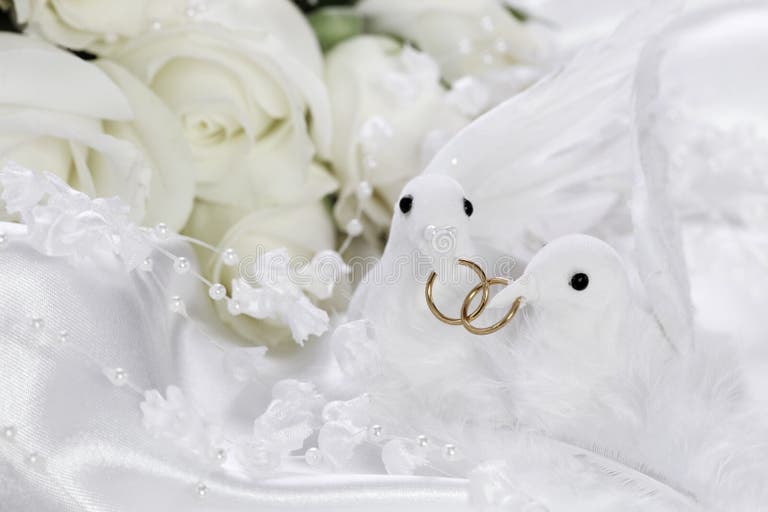 White Doves with Wedding Rings Stock Image - Image of rings, wedding ...
