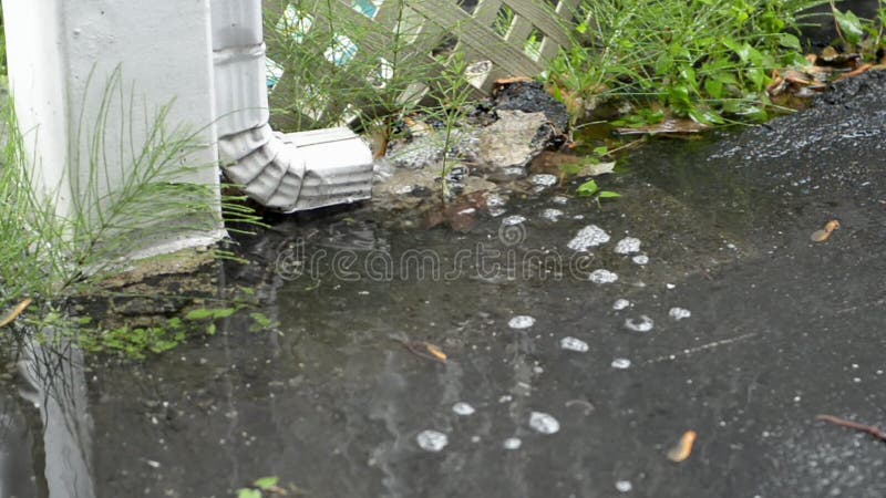 White Drainpipe in Raining Day Stock Footage - Video of weather, summer ...
