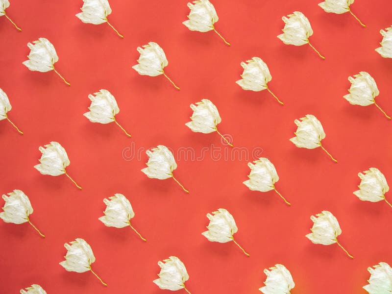 Strong Orange Background Texture, for Banner or Web. Stock Image ...