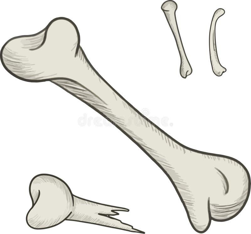 Dry Bones Stock Illustrations – 309 Dry Bones Stock Illustrations ...