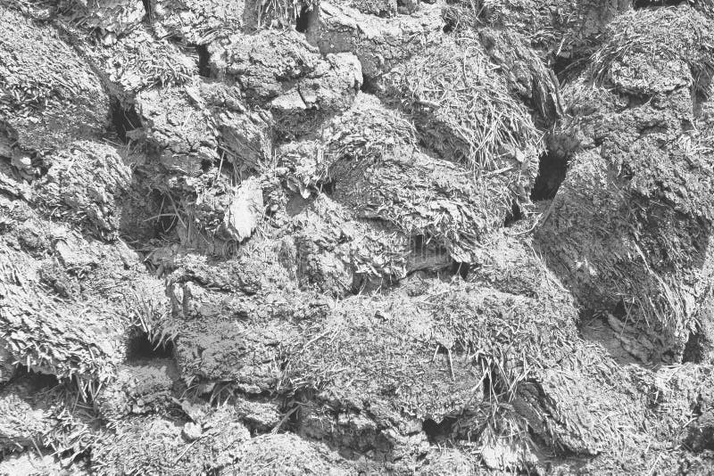 Cow Cattle Manure Texture Background Stock Image - Image of manure ...