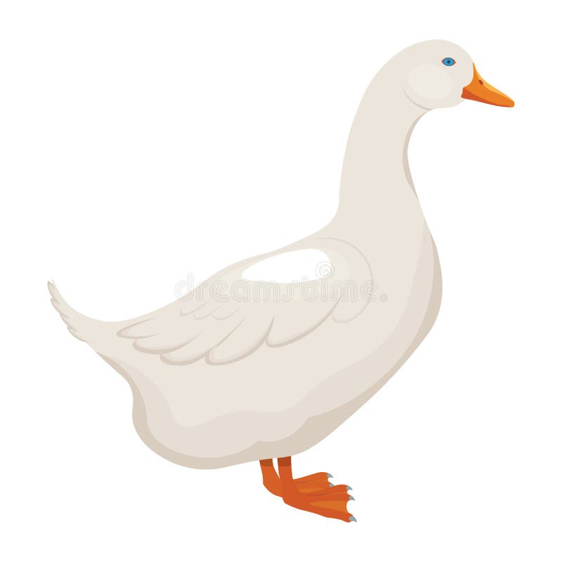 Duck Back White Stock Illustrations – 235 Duck Back White Stock ...