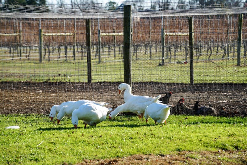 Vito Natale (Bluestakervito) - Photographer profile