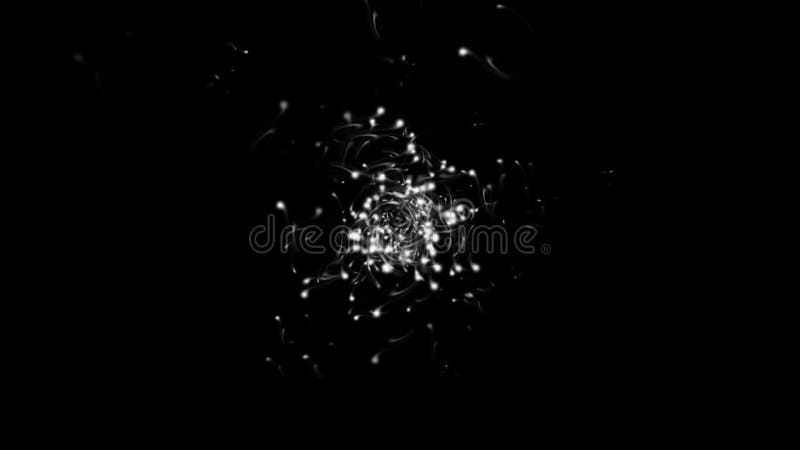 White Dust Particles Motion Graphics with Night Background Stock ...