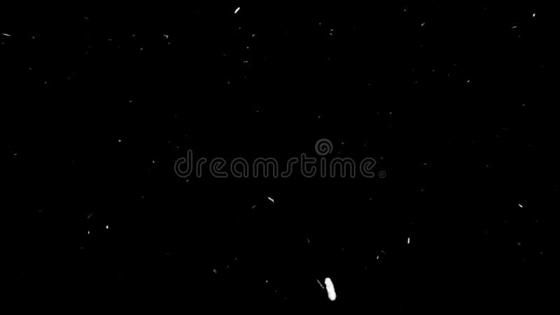 White Dust Particles with Night Background Stock Footage - Video of ...