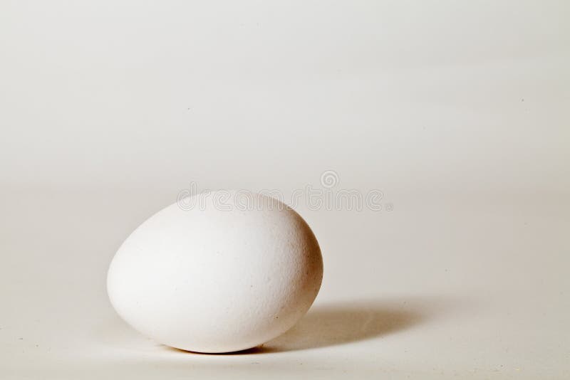 White Egg stock image. Image of fresh, easter, eggs, used - 12412119