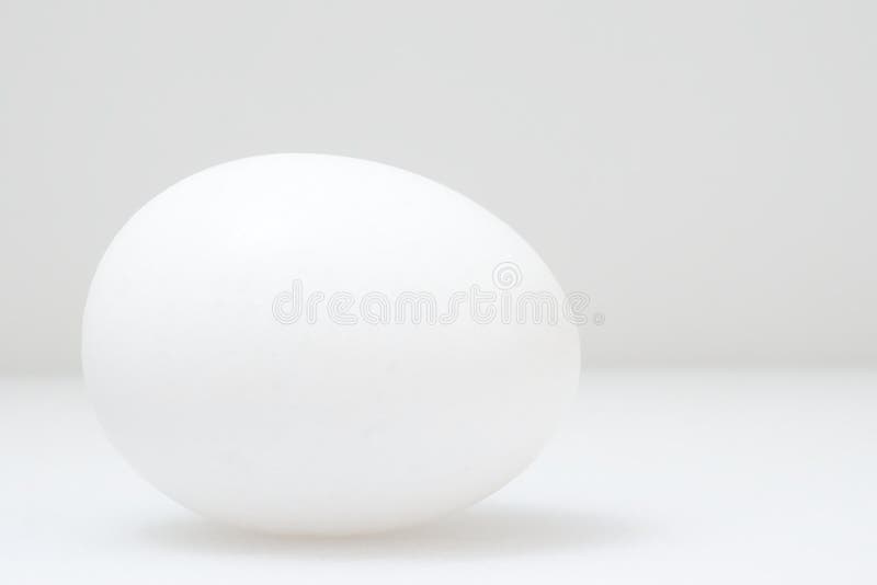 White Egg Isolated on Pure White Stock Image - Image of fried ...