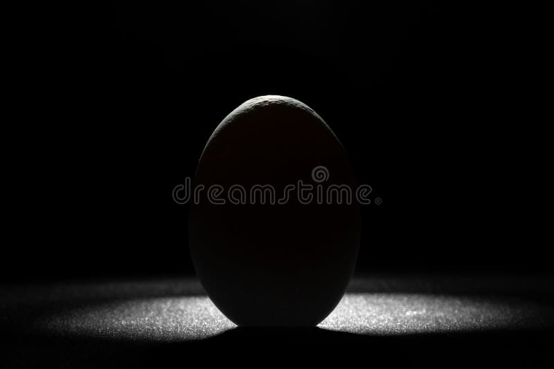 White Egg on a Black Background in Backlight Stock Image - Image of ...