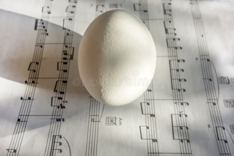White Egg Close-up on Black Notes. Creative Concept, Black and White ...