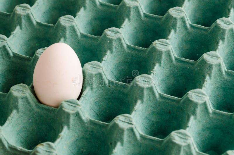 A White Egg in an Empty Green Egg Carton Stock Image - Image of empty ...