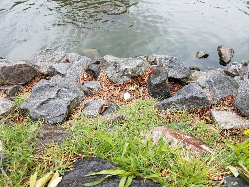 White Egg on Shore of Lake with Rocks Stock Image - Image of stones ...