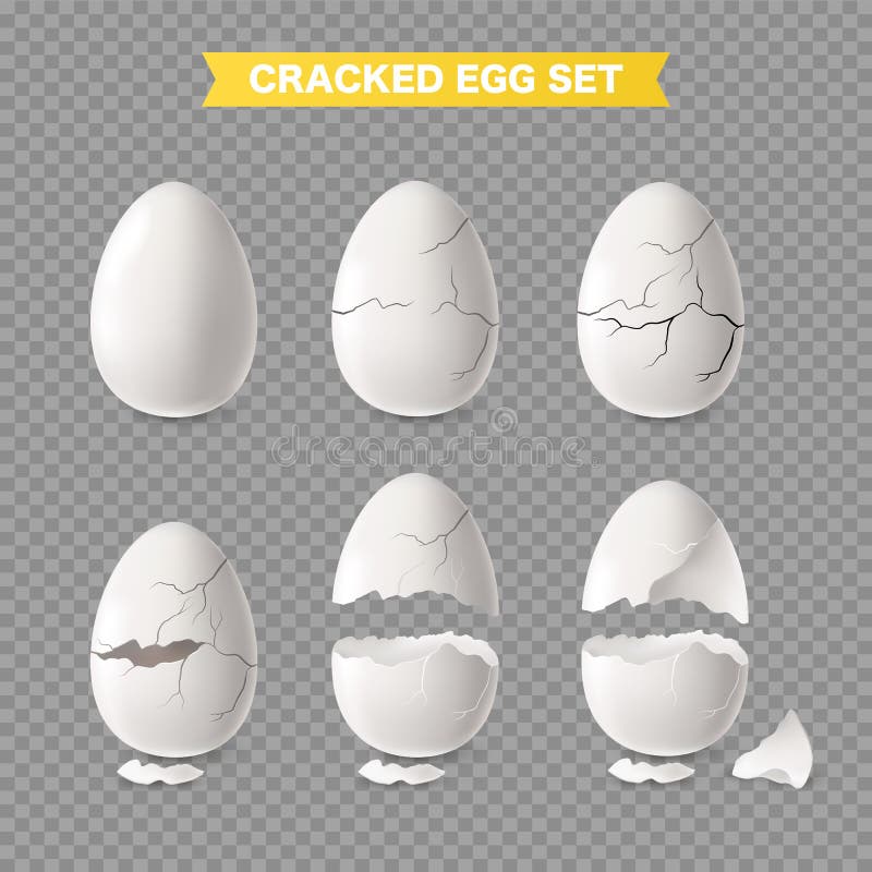 White Egg Transparent Set stock vector. Illustration of concept - 217623190
