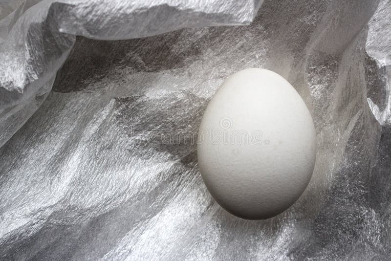 White Egg on the White Texture Background with Copy Space. Design ...