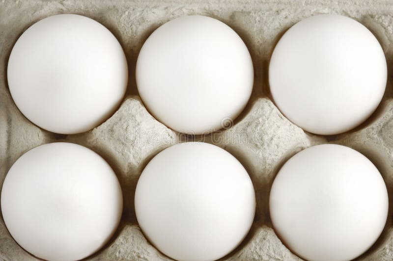 White eggs stock image. Image of eggs, diet, fresh, cardboard - 12774579