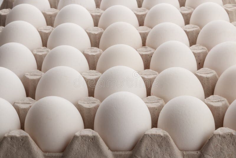 White eggs stock photo. Image of eggs, meal, fresh, natural - 35011748